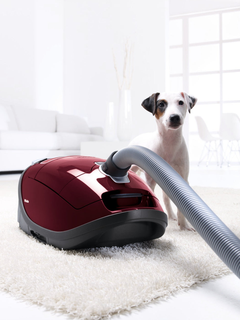 Online Vacuum Shop in Canada | Vacuum Cleaner Supplier – Vacuum Warehouse